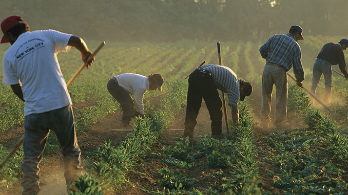 Immigrant Workers – The Most Exploited Workers in Society – Speak Out Now